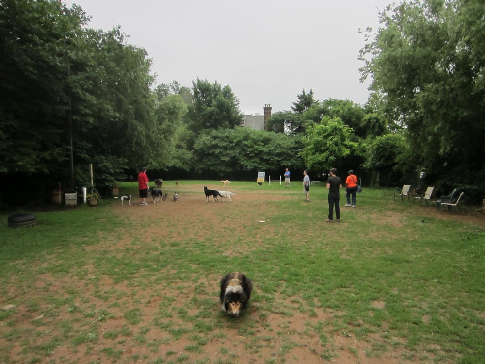 CHESTER AVENUE DOG PARK - Updated August 2025 - 801 S 48th St ...