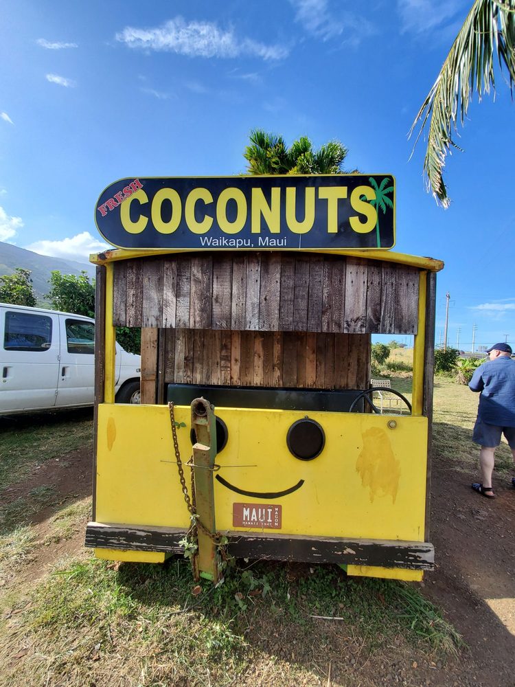 THE COCONUT - Updated December 2025 - 29 Photos & 11 Reviews - Wailuku ...