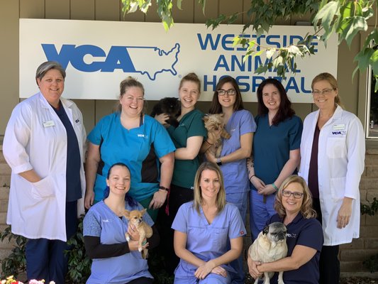 VCA WESTSIDE ANIMAL HOSPITAL - Updated September 2025 - 17 Photos & 28 ...