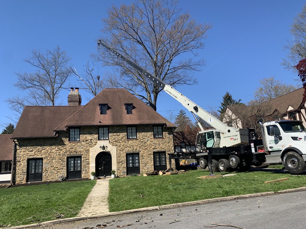 PRESTIGE TREE SERVICE - Updated October 2025 - 62 Photos & 17 Reviews ...