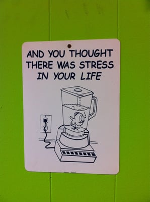 FATT MUSTARD CAFE - Updated October 2025 - 146 Photos & 163 Reviews ...