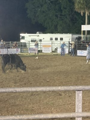 CALLAHAN SPEEDWAY - Updated December 2025 - 543591 Route 1, Callahan ...