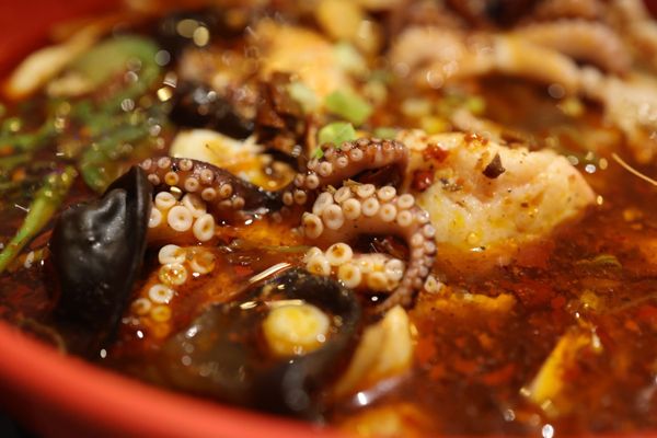 SPICY TANG - Updated January 2026 - 67 Photos & 46 Real Reviews - 607 S ...