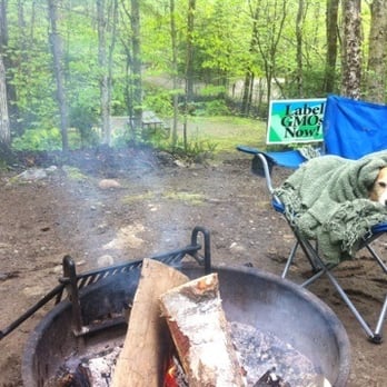 MAIDSTONE STATE PARK - Updated December 2025 - 14 Photos - 4858 ...