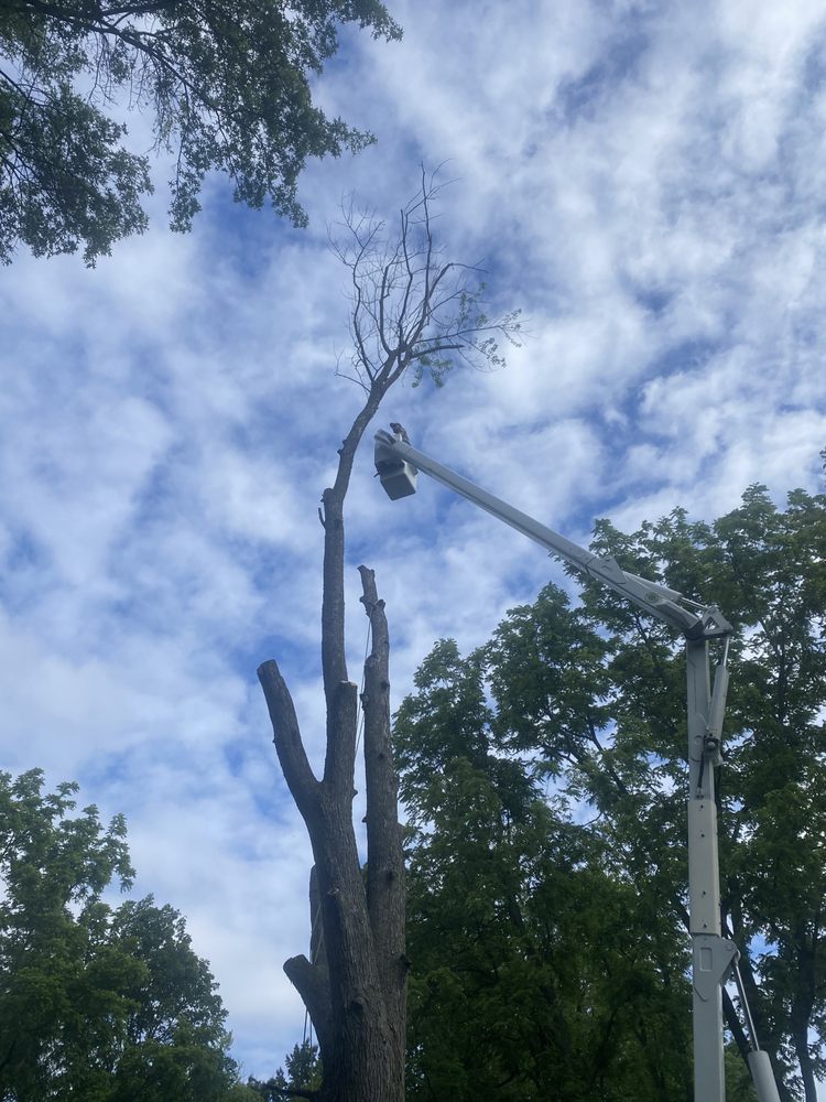 JOHNSON’S TREE SERVICE - Updated June 2024 - Williamsport, Indiana ...