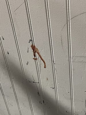 BREWSTER ICE ARENA - Updated July 2025 - 32 Photos & 33 Reviews - 63 ...