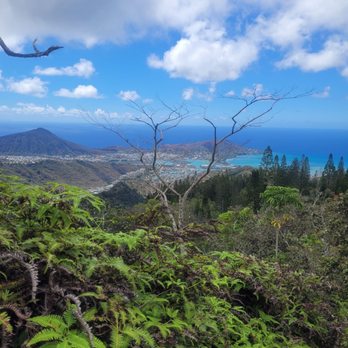 KULIOUOU RIDGE TRAIL - Updated May 2024 - 1723 Photos & 398 Reviews ...