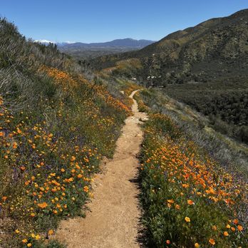 DRIPPING SPRINGS CAMPGROUND - Updated October 2025 - 82 Photos & 55 ...