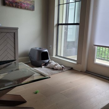 BARC ANIMAL SHELTER AND ADOPTIONS - Updated April 2025 - 107 Photos ...