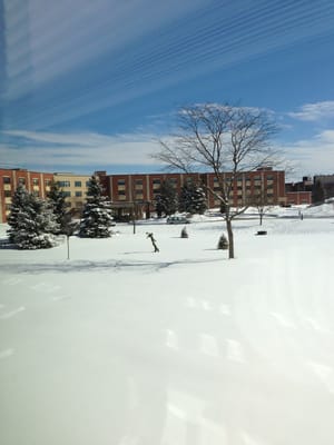 WATCHTOWER FARMS - Updated October 2024 - 24 Photos - 900 Red Mills Rd ...