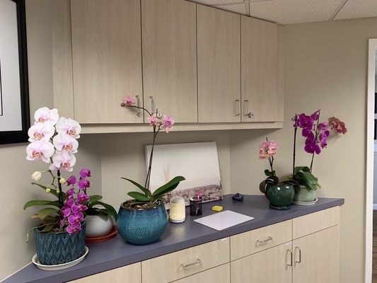 MICHELLE NGUYEN, MD - Updated December 2025 - 12 Photos & 35 Reviews ...