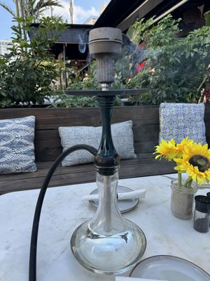 SOBE HOOKAH - Updated May 2024 - 586 Photos & 56 Reviews - 1700 Collins ...