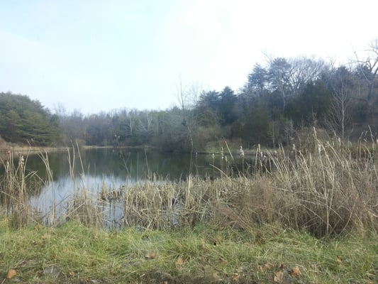 FINGER LAKES STATE PARK - Updated October 2025 - 1505 E Peabody Rd ...