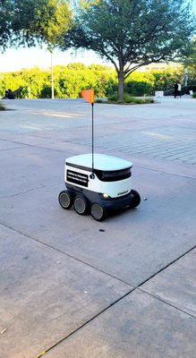 UNIVERSITY OF CALIFORNIA - Updated October 2025 - 342 Photos & 196 ...