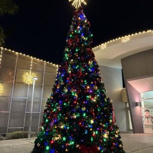 WEST KENDALL REGIONAL LIBRARY - Updated October 2025 - 12 Photos & 16 ...