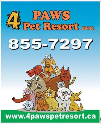 4 PAWS PET RESORT - Updated October 2025 - 12 Photos - 82 Zack Rd ...