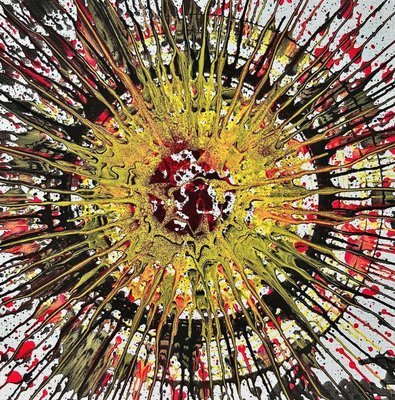 PICASSO’S SPLAT ROOM - Updated January 2026 - 25 Photos - 6681 ...