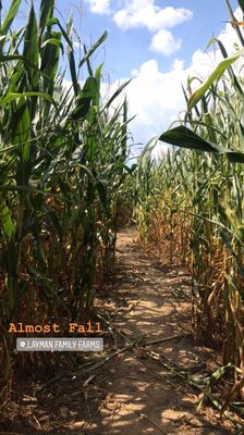 LAYMAN FAMILY FARMS - 56 Photos - 1815 Mountain View Church Rd, Blue ...