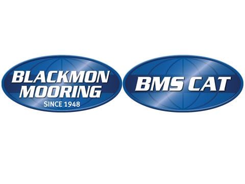 BMS CAT - Updated September 2025 - 21 Photos & 39 Reviews - 315 N Great ...