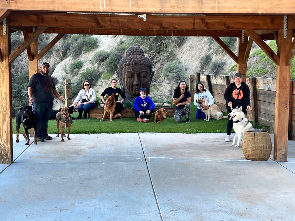 GOOD SHEPHERDS ACADEMY - Updated December 2025 - 23 Photos - Santa ...