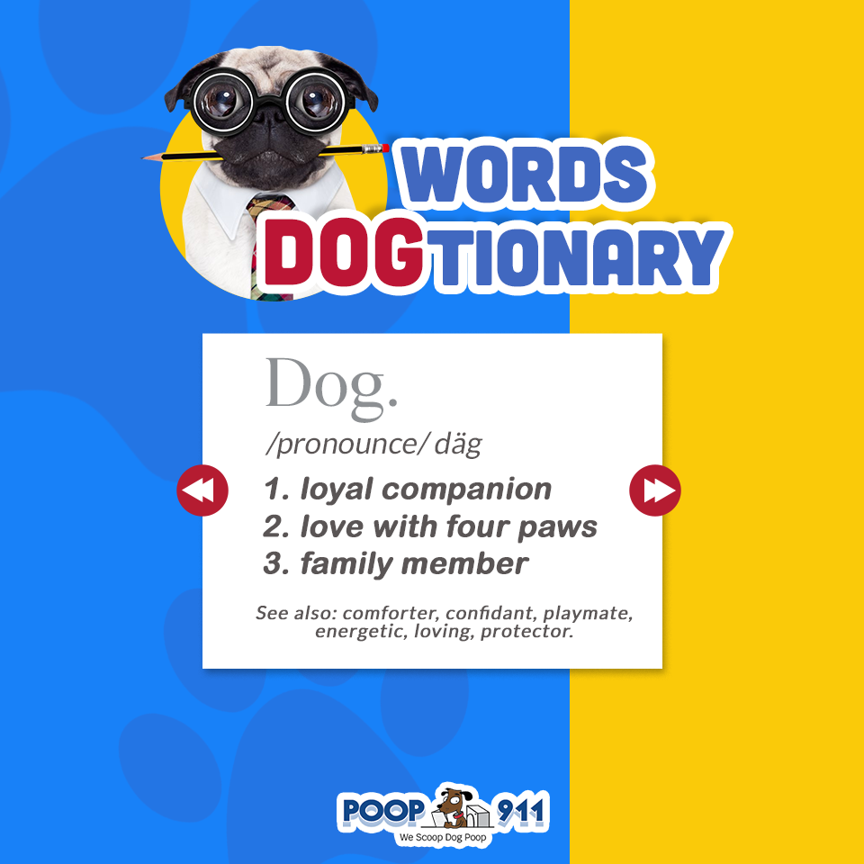 POOP 911 - Updated March 2025 - Request a Quote - 25 Photos - Hudson ...