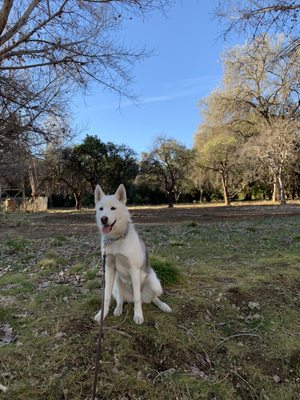 ORCUTT RANCH HORTICULTURAL CENTER PARK - Updated January 2025 - 384 ...