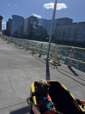 COMMONWEALTH PIER - Updated April 2026 - 200 Seaport Blvd, Boston ...