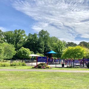 SOUPY ISLAND - Updated June 2025 - 14 Photos - 1718 Front St, West ...