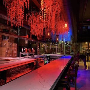 FOCUS SOCIAL CLUB - 35 Photos & 34 Reviews - 1348 H St NE, Washington ...