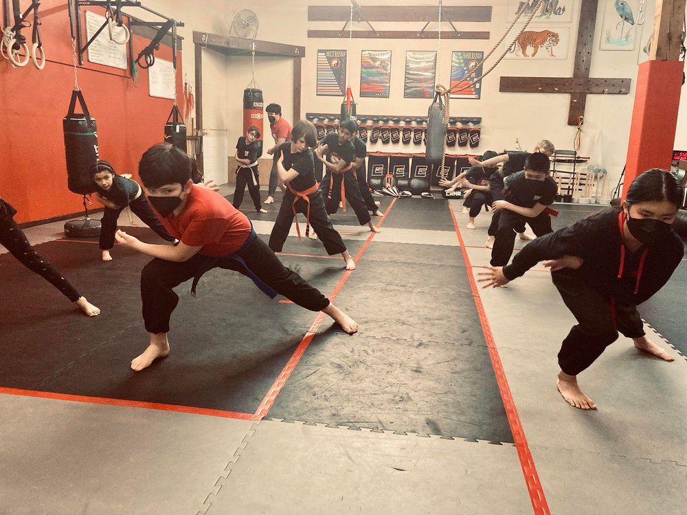 SEATTLE WHITE TIGER KUNG FU - Updated October 2025 - 26 Photos - 22313 ...