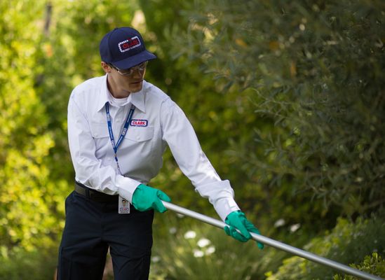 CLARK PEST CONTROL - Updated October 2025 - 50 Photos & 68 Reviews ...