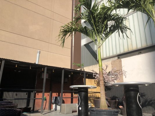 BAR 13 - 338 Photos & 481 Reviews - 121 University Pl, New York, New ...