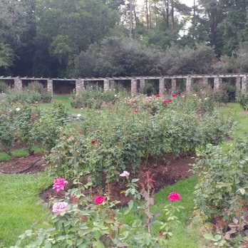 RALEIGH ROSE GARDEN - Updated September 2025 - 185 Photos & 23 Reviews ...
