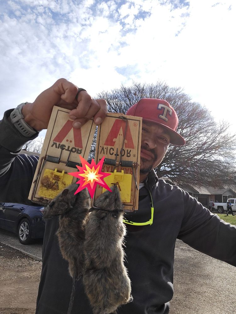 STINKY STEVE PEST CONTROL - Updated September 2024 - San Antonio, Texas ...