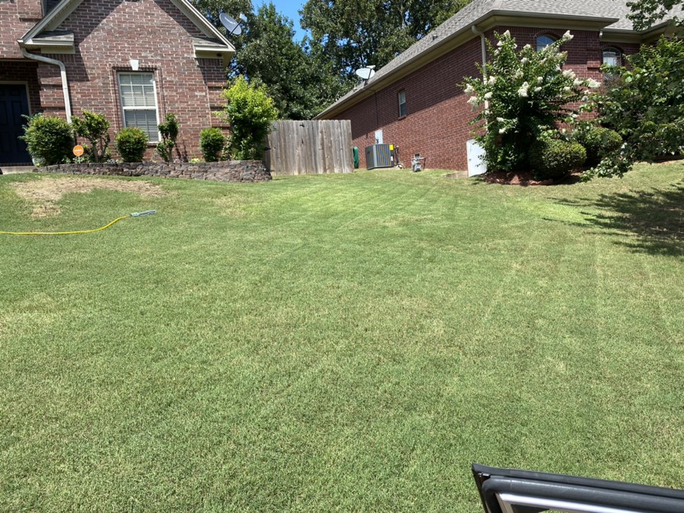 IMMACULATE LAWN AND LANDSCAPING - Updated November 2024 - 43 Warren Dr ...