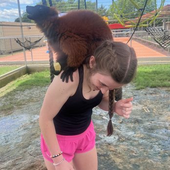 SHARKAROSA WILDLIFE RANCH - Updated January 2026 - 312 Photos & 136 ...