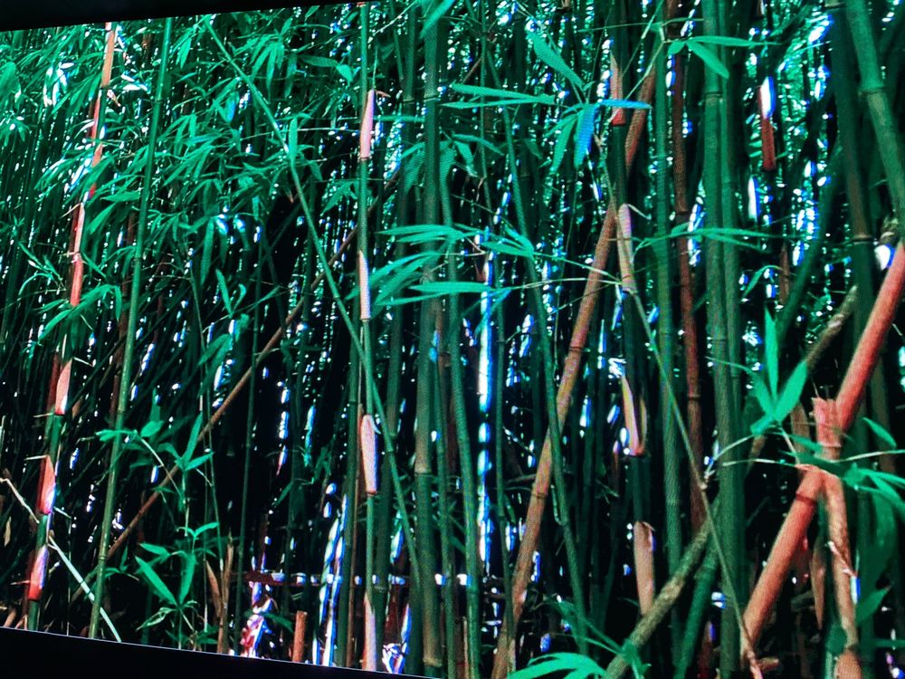 BALIAN SPRINGS - 257 Photos & 126 Reviews - 6432 General Green Way ...