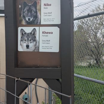 WOLF PARK - Updated December 2025 - 99 Photos & 32 Reviews - 4004 E ...