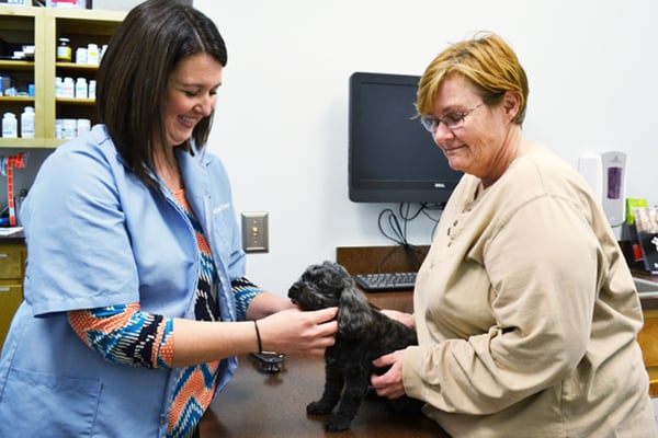 MERCY ANIMAL HOSPITAL - Updated July 2024 - 11 Photos & 21 Reviews ...