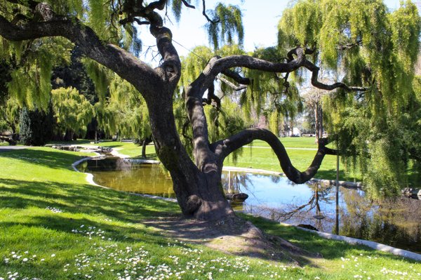 JULLIARD PARK - Updated March 2025 - 61 Photos & 27 Reviews - 227 Santa ...
