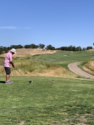 THE GOLF CLUB AT COPPER VALLEY - Updated June 2024 - 41 Photos & 49 ...