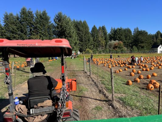 LATTIN’S COUNTRY CIDER MILL AND FARM - Updated November 2025 - 182 ...