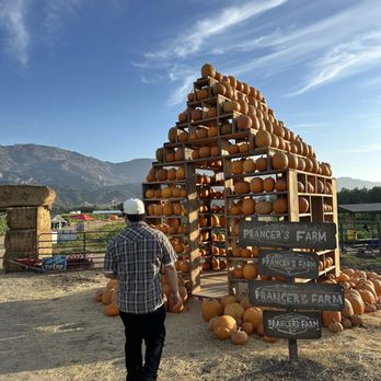 PRANCERS FARM - Updated July 2025 - 148 Photos & 45 Reviews - 18540 E ...