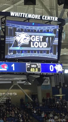 WHITTEMORE CENTER ARENA - Updated July 2025 - 12 Photos - 128 Main St ...