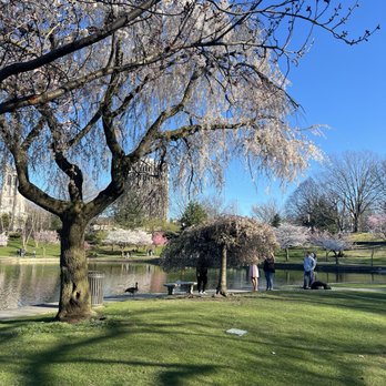 WADE PARK LAGOON - Updated October 2025 - 76 Photos & 19 Reviews ...