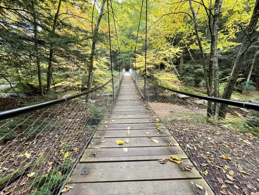 COOK FOREST STATE PARK - Updated September 2025 - 57 Photos & 14 ...