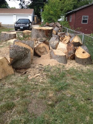 THE DAVEY TREE EXPERT COMPANY - Updated December 2025 - 14 Photos & 31 ...