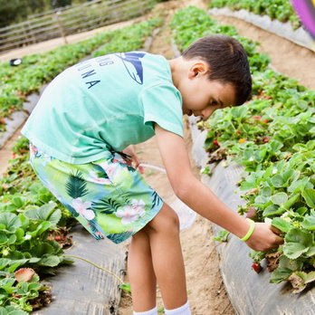 CRYSTAL BAY FARM - Updated September 2024 - 146 Photos & 64 Reviews ...