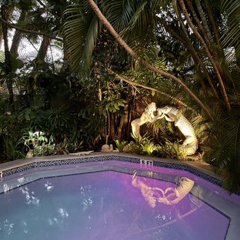 THE MERMAID & THE ALLIGATOR - Updated September 2025 - 93 Photos & 64 ...