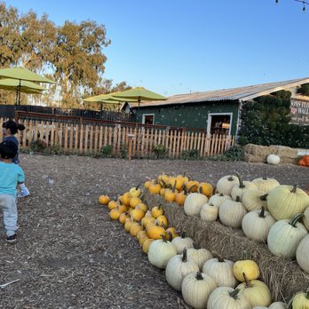 SONS FARM FRESH - Updated September 2025 - 80 Photos & 26 Reviews ...